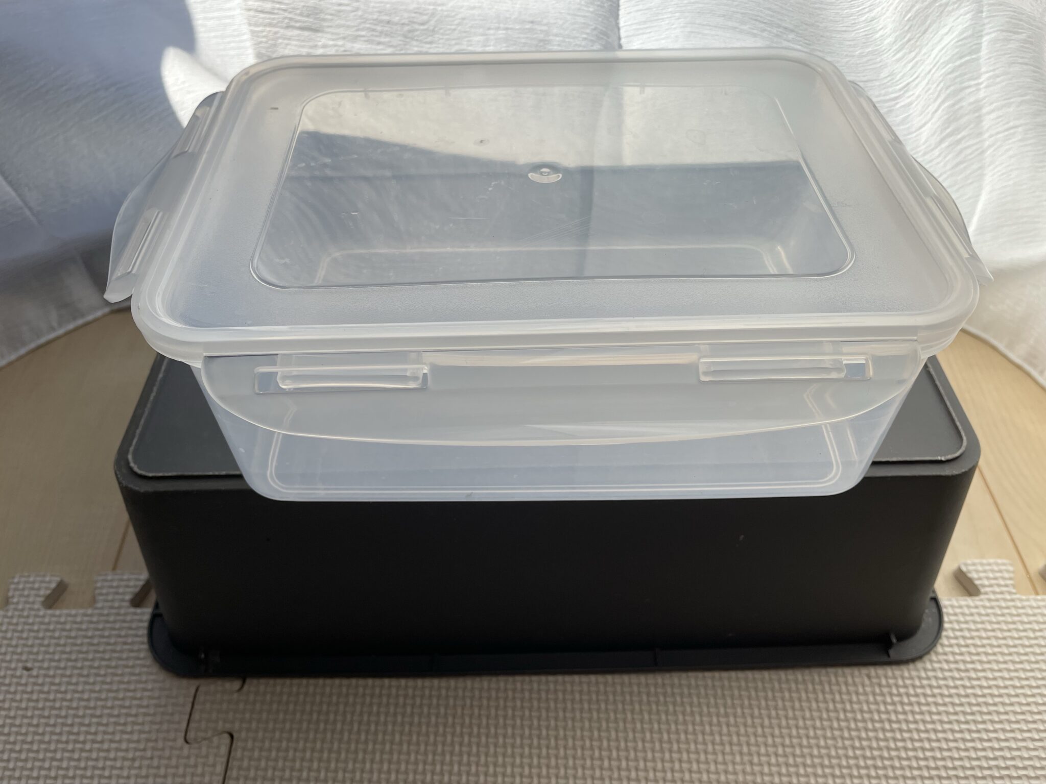 メダカ飼育/100均にある容器を比較！家にあるものでも飼育が可能？（画像）かんたん解説 | ネド》めだかブログ