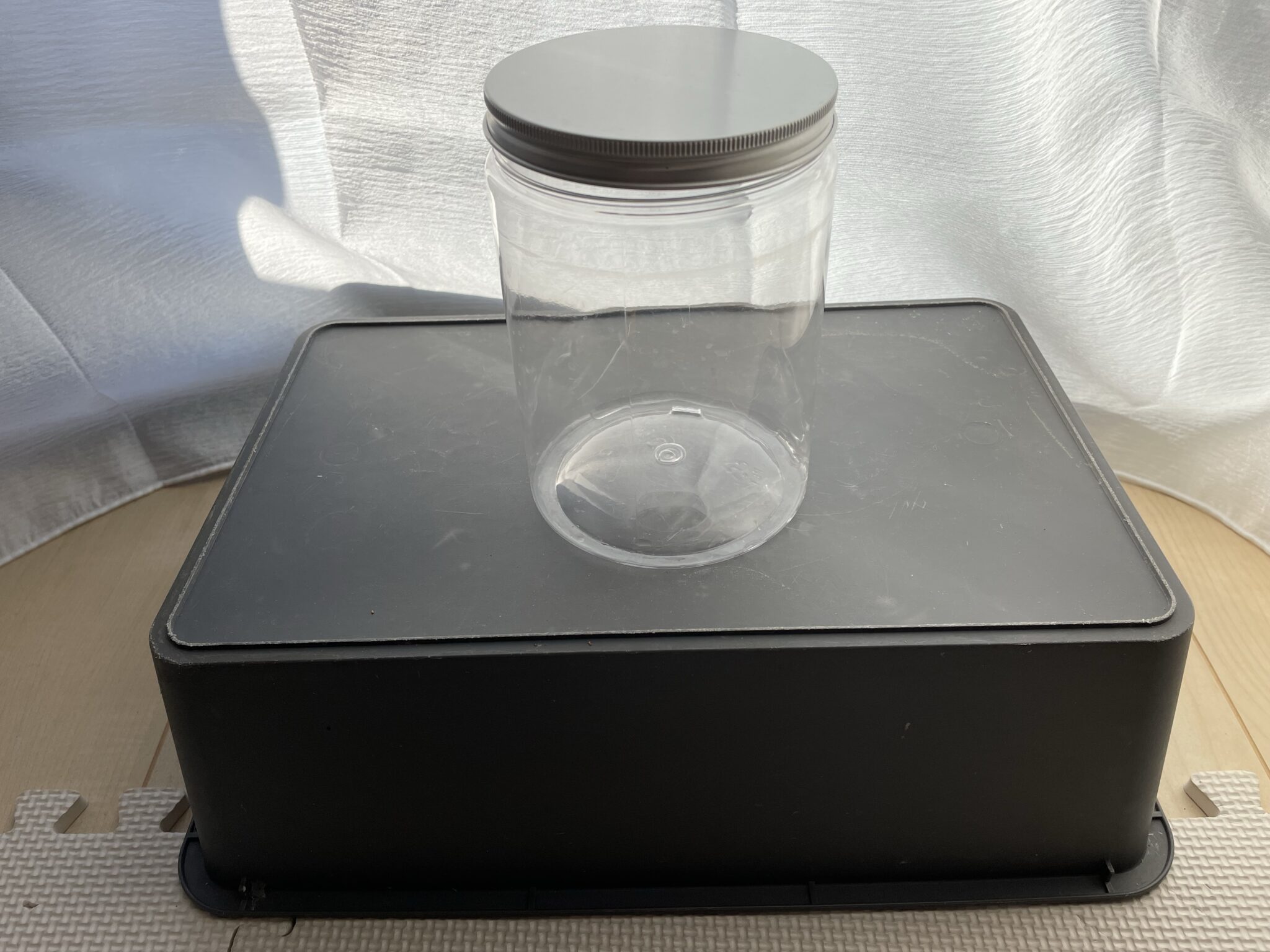 メダカ飼育/100均にある容器を比較！家にあるものでも飼育が可能？（画像）かんたん解説 | ネド》めだかブログ