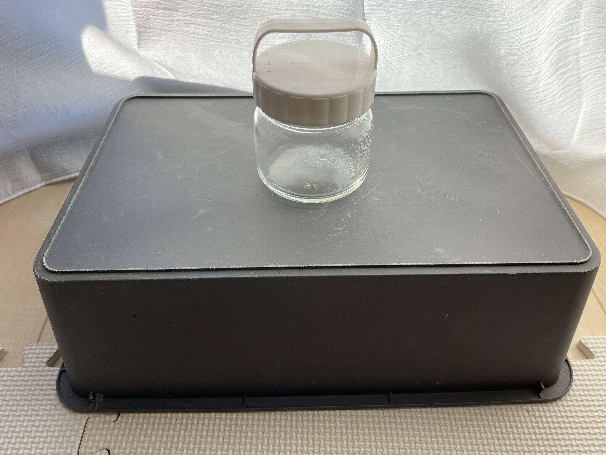 メダカ飼育/100均にある容器を比較！家にあるものでも飼育が可能？（画像）かんたん解説 | ネド》めだかブログ